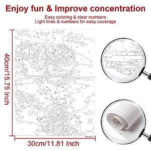 COLORWORK DIY Paint by Numbers, Canvas Oil Painting Kit for Kids & Adults, 12" W x 16" L Drawing Paintwork with Paintbrushes, Full Moon 4 PCS Set