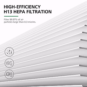 F300 Filter Compatible with Instant AP300 Air Purifi-er, 4-Stage Filtration with H13 Grade True HEPA Filter and Activated Carbon Filter, Compare to F300 Filter, 2 Pack