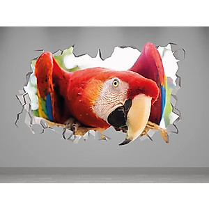 Macaw Parrot Wall Decal - Bird Sticker Decor - Parrots Tropical Wall Decor - Tropical Wall Decal - Animals Room Decor - Stickers for Kids Nursery Bedroom (24"W x 14"H (60cm x 36cm))