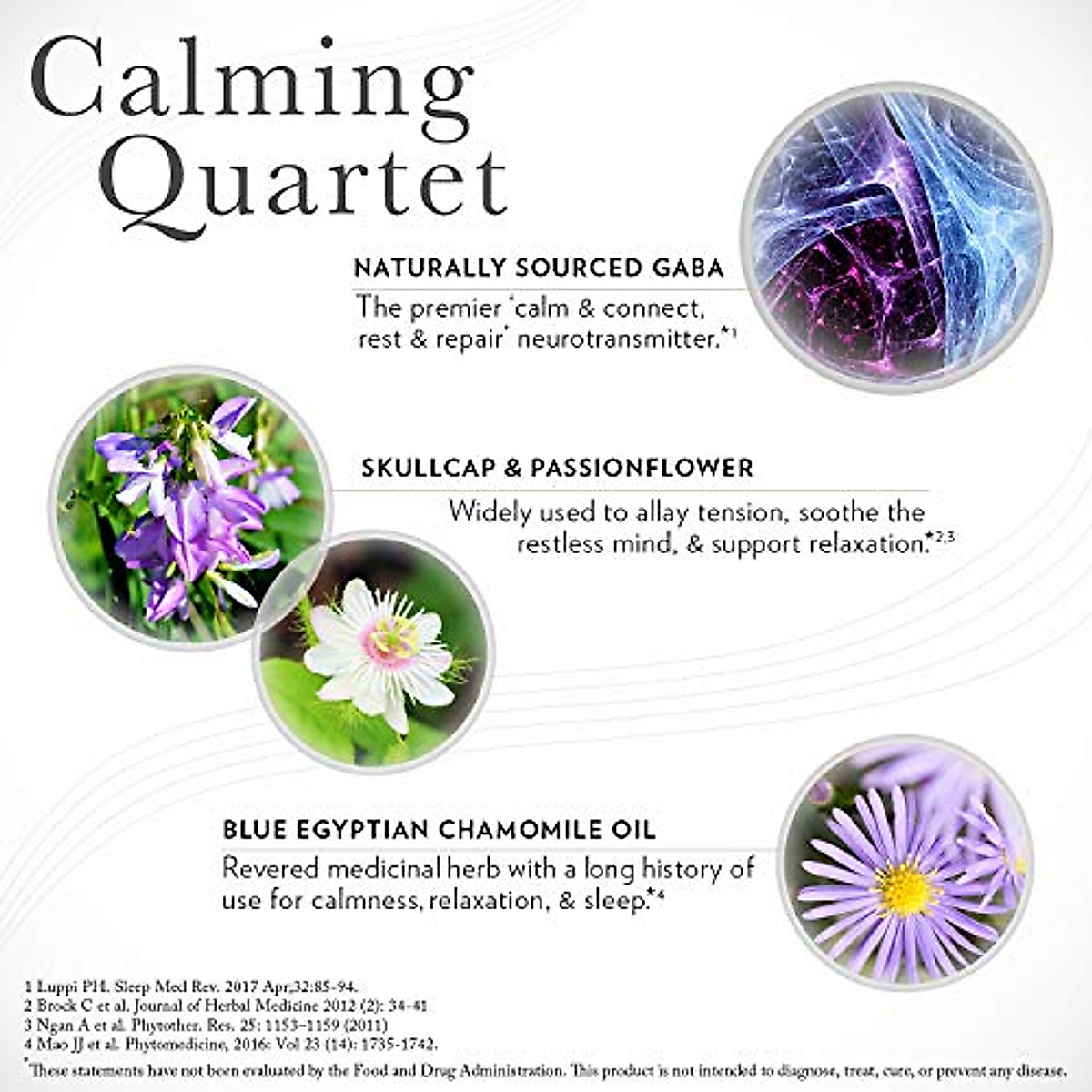 Quicksilver Scientific LipoCalm - Liposomal GABA with Herbs for Relaxation Support - Chamomile, Passionflower Herb & Skullcap Supplement for Peace of Mind & Sleep Calm Support (1.7oz / 50ml)