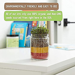 Back to the Roots Organic Kids Terrarium Grow Kit - Easy-to-Use DIY Set for All Ages Small