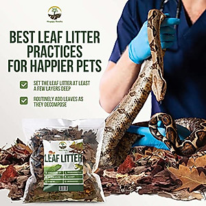 Organic Oak Leaf Litter Hand Collected and Packaged. 4 Quarts.