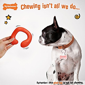 Nylabone C-Shuu Interactive Dog Toy for Small Dogs – Lightweight Squishy Dog Chase Toy for Creative Play & Dog Exercise