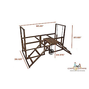 Coops & Feathers Chicken Activity Center-Play, Swing, & Roost-Includes Treat Basket (Large)
