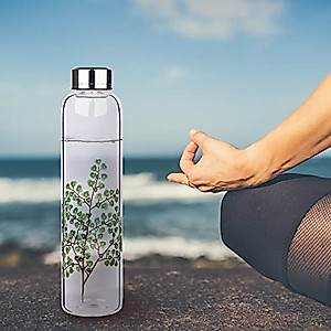 Borosilicate glass water bottle with Leak Proof Lid and Protective Neoprene Sleeve 32oz / 16oz (Green Leaves, 16oz)