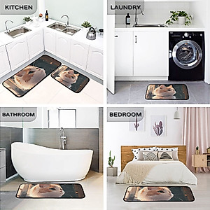 NFMILI (Anime Beautiful Cat) Kitchen Mat 2 PCS Cushioned Anti-Fatigue Kitchen Rug, Waterproof Non-Slip Floor Mats Thick Ergonomic Comfort Standing Mat for Kitchen Sink Laundry room bedroom living room