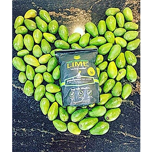 First Saturday Lime for Insects 20lb