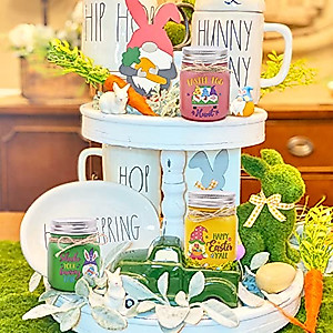 Easter Mini Mason Jar Spring Easter Tiered Tray Decor Easter Bunny Gnome Table Sign Farmhouse Tiered Tray Decor Easter Egg Hunt Rustic Table Decoration for Home Kitchen Tray Counter Gift Idea Set of 3