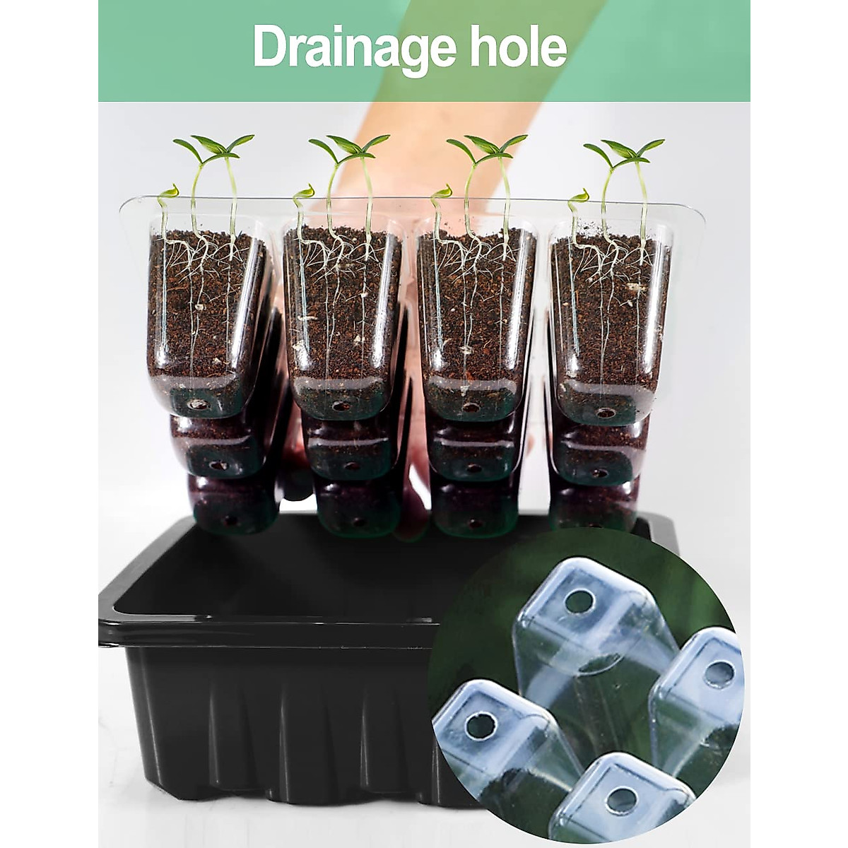 14 Packs Seed Starter Tray, 168 Cells Total Tray, Seed Starting Kit with Adjustable Humidity Dome and Base Plant Starter Kit Mini Greenhouse Germination Kit with 2 Garden Tools and 20 Plant Labels