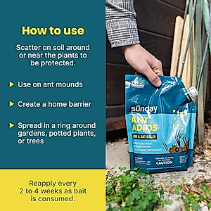 Sunday Ant Adios - Insect & Ant Killer - Outdoor Ant Killer Uses Spinosad to Eliminate Ants, Earwigs, Cutworms, & More - for Organic Gardening - Treats 4,000 sq ft - Results in 3-14 Days - 2lbs