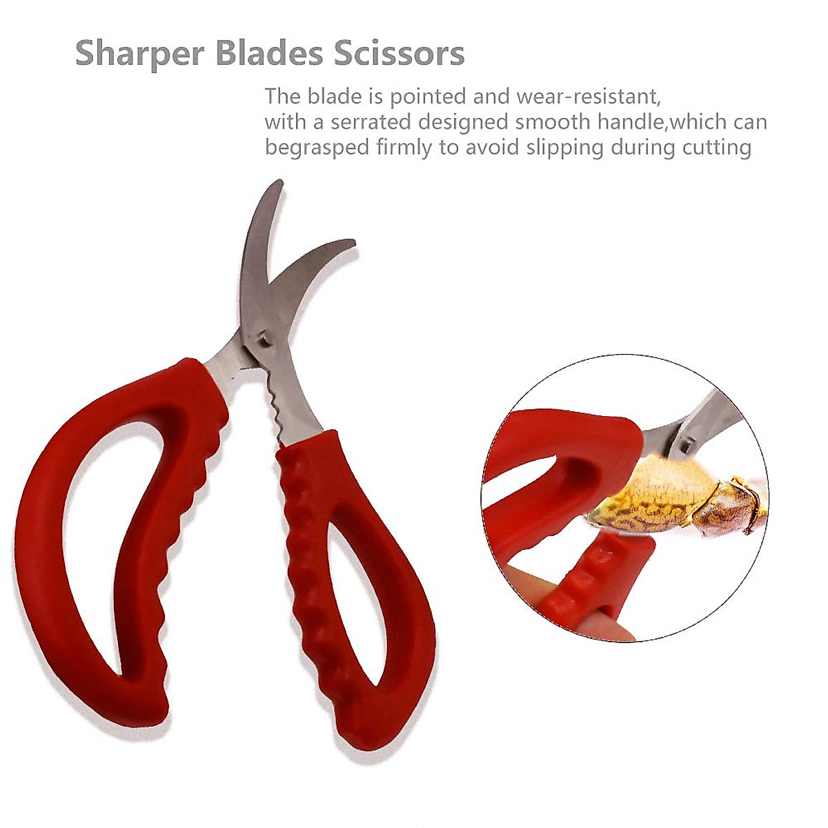 2 Pack Seafood Scissors,Seafood Fish Crab Shrimp Lobster Scissors Stainless Steel Shears for Kitchen Tools