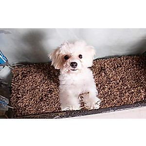 ECO BEDDING FiberCore Box, Brown, 10 lb