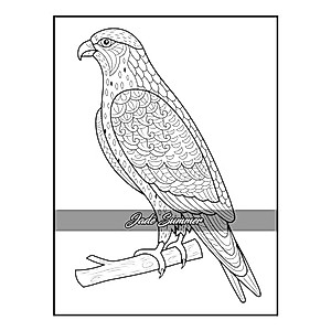 100 Animals: An Adult Coloring Book with Lions, Elephants, Owls, Horses, Dogs, Cats, and Many More!