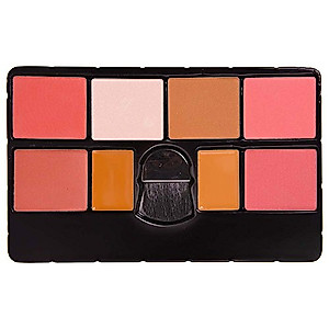 SHANY All In One Makeup Kit (Eyeshadow, Blushes, Powder, Lipstick & More) Holiday Exclusive
