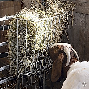 Premier X-Tuff Single Sided Hay Feeder