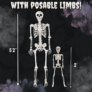 Posable Life Size Human Skeleton Family Set of 4-2 Adult (5' 2")& 2 Children (2')-Halloween Prop Indoor Outdoor Decorations w Bending Articulated Bones- Spooky Haunted House Party Lawn Décor