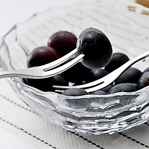 Stainless Steel Forks Set, Forks for Oyster and Shellfish, Appetizers Tasting Forks, Cocktail Salad Dessert Fruit Forks for Birthday Wedding Party Travel (6 Pcs)