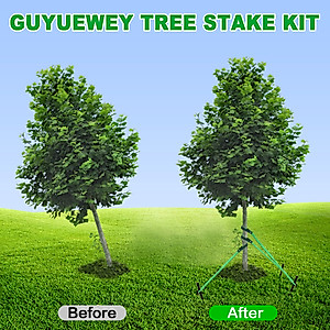 Guyuewey Heavy Duty Tree Stake Kits, Tree Stakes for Young Trees Straightening, Garden Tree Supports for Leaning Tree Outdoor, 3Pcs Tree Straps, 3Pcs Metal Stakes, 3Pcs Rope for Anchoring (1)