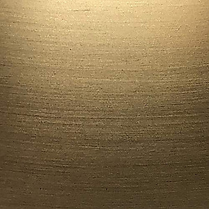 Cadmus 57" Tall Floor Lamp with Metal Shade in Blackened Bronze/Brass/Brass