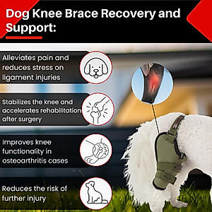 SSaYo Dog Knee Brace for Male/Female Dogs - Neoprene Support Dog Leg Braces for Back Leg with Adjustable Straps and Belt - Torn ACL Hind Leg, Ligament Injury, Joint Pain and Stability (Medium, Left)