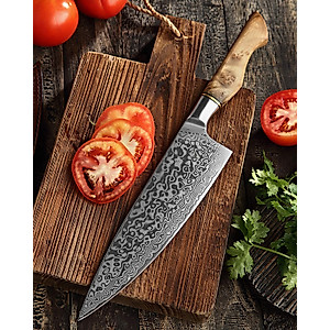 HEZHEN Chef's Knife-Professional-8.3 inch Damascus Steel, Kitchen Knife VG10 Gyuto Knife-Master Series Chef Cooking Tool at Home,Restaurant-Figured Sycamore Wood Handle