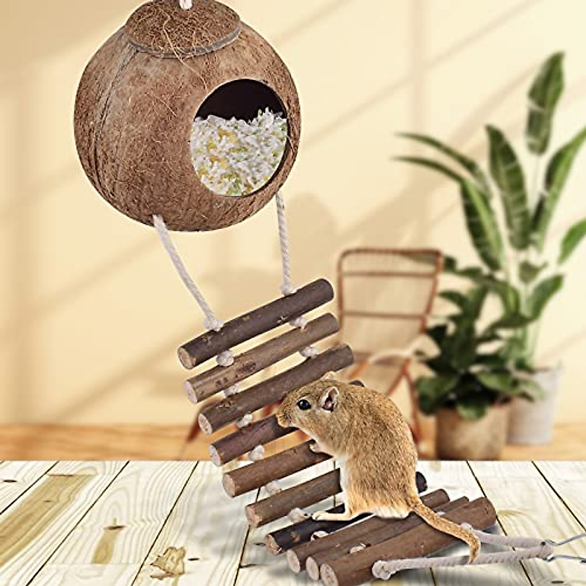 KATUMO Coconut Hut Hamster House Bed Natural Chew Toys for Mice Gerbils Small Animal Cage Habitat Decor