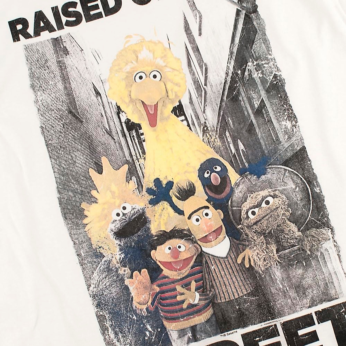 Popfunk Sesame Street Big Bird Oscar Bert Ernie Grover T-Shirt & Stickers - Medium