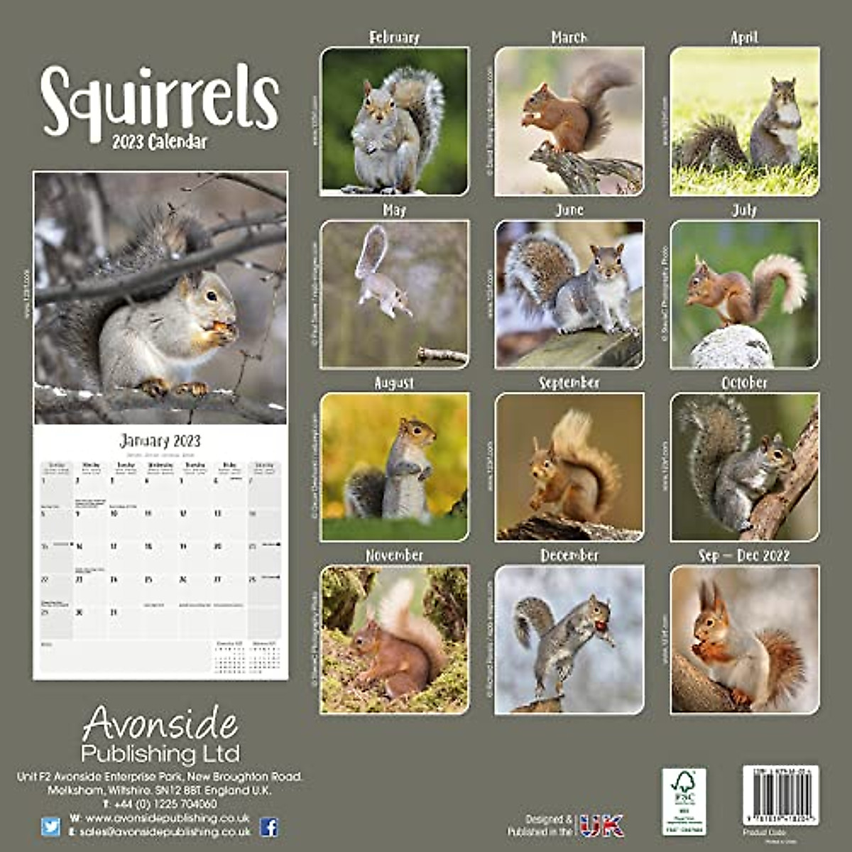 Squirrel Calendar - Cute Animal Calendar - Calendars 2022 - 2023 Wall Calendars - Animal Calendar - Squirrels 16 Month Wall Calendar by Avonside