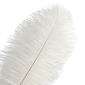 Piokio 20 pcs White Ostrich Feathers Plumes 10-12 inch(25-30 cm) Bulk for DIY Christmas Decorations, Wedding Party Centerpieces, Gatsby Decorations