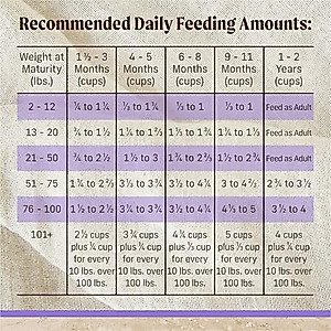 Merrick Healthy Grains Premium Dry Dog Food, Wholesome And Natural Kibble For Healthy Digestion, Puppy Recipe - 12.0 lb. Bag