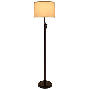 Décor Therapy PL1779 Floor lamp, Oil-Rubbed Bronze