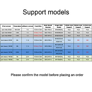 SELLTOONE 256GB SSD for iPod Classic 6th 7th iPod Video 5Gen 5.5th Replace HS081HA MK8010GAH MK8022GAA MK1634GAL MK1231GAL ZIF CE Solid State Drive (256GB)