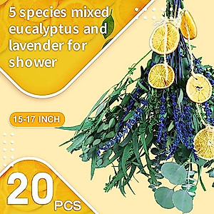 5 Kinds Mix Dried Eucalyptus & Lavender Flowers for Shower Bundle, 15''-17''Natural Real Fresh Preserved Eucalyptus Leaves and Lemon Hanging Plants, Home Bathroom Decor, Fragrance