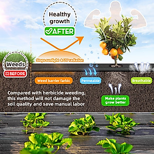 LAVEVE 3FTx 100FT Weed Barrier Landscape Fabric, 3.2oz Premium Heavy-Duty Gardening Weed Control Mat, Ground Cover for Gardening, Farming with 20 U-Shaped Securing Pegs