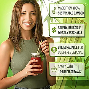 Ibambo 10 Pack Natural Bamboo Straws - Ecofriendly Reusable Straws, 8 inch Biodegradable Straws, Compostable Straws with Straw Cleaner, Bamboo Reusable Straws Alternative to Plastic Disposable Straws
