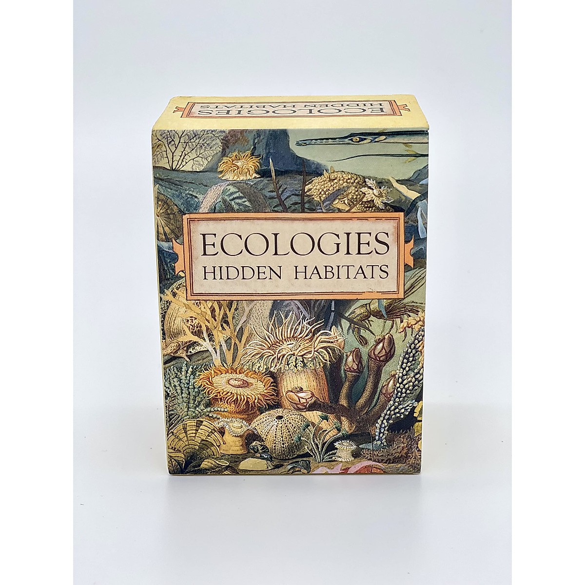 Montrose Biology Ecologies: Hidden Habitats - Use Science to Build Food Webs in 7 Biomes - Beautiful Vintage Nature Art for The Classroom or Game Night