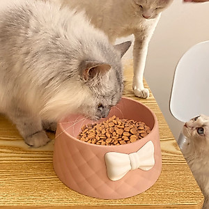 Kattypet Katty Pet Cheap Affordable Bowl with Bow Cat Food Bowls Base Dog Bowl, Pet Feeding Station Base Bowl of Premium Quality Pets Bowl for Mini Small Medium Puppy