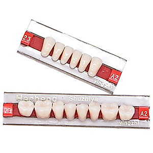 Angzhili 84 Pcs Dental Complete Acrylic Resin Denture False Teeth 3 Sets Synthetic Polymer Resin Denture Teeth 23 Shade A2 Upper + Lower Dental Materials
