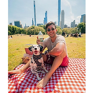 Poland Spring 100% Natural Premium Spring Water - Small, Mini 8 Fl Oz Bottles | Pack of 24