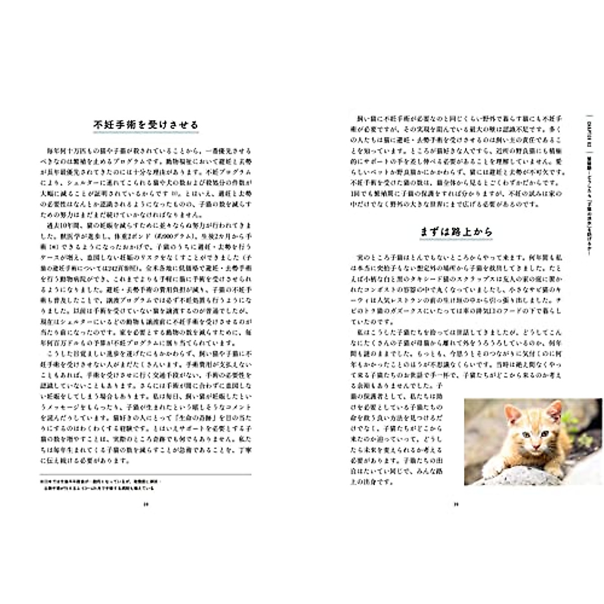 保護猫の育て方