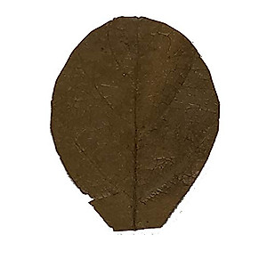 Awesome Aquatic Betta/Shrimp Leaves 50 Mini 2" Premium Catappa Indian Almond Leaves Natural Habitat Tannin Producing Improves Immunity, Easy to USE