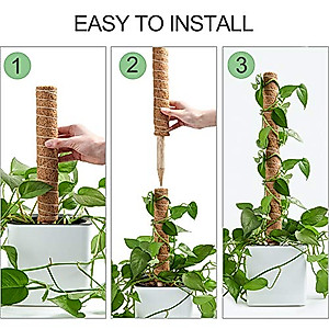 joyhalo Moss Pole- 15.7 Inch Moss Stick for Potted Plants, 4 Pcs Plant Support for Climbing Plants Monstera, Coir Totem Pole