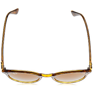 Ray-Ban RB2180 Round Sunglasses, Light Havana/Dark Brown, 51 mm