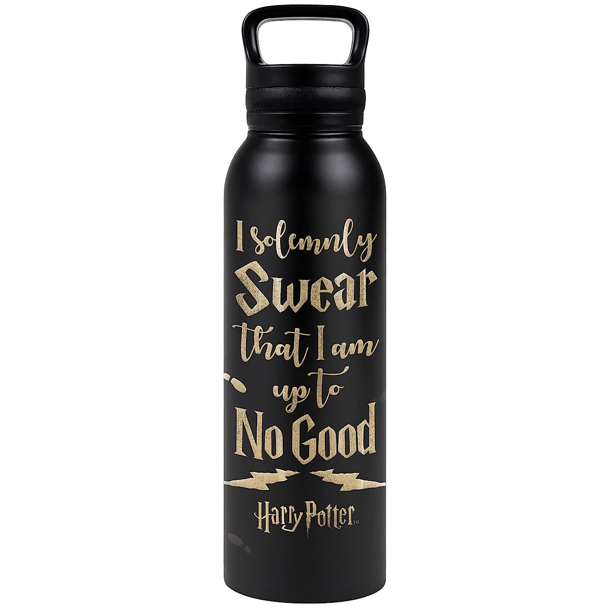 Harry Potter OFFICIAL No Good 24 oz Insulated Canteen Water Bottle, Leak Resistant, Vacuum Insulated Stainless Steel with Loop Cap