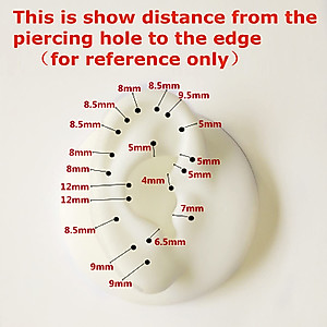 LOVEBODYJEWELRY 316L Surgical Steel Seamless Nose Ring Cartilage Hoop Silver/Gold/Rose Gold/Black 16G 18G 20G 6mm-12mm CZ Paved Helix Rook Tragus Lobe Body Pierecing Jewelry Segment Clicker Lip Rings