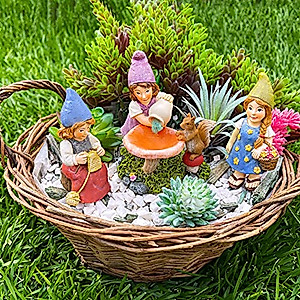 Mood Lab Miniature Garden Gnomes - Lady Gnomes Kit of 3 pcs - Figurines & Accessories Set - Outdoor or House Decor
