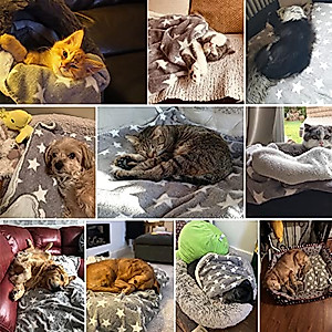 LeerKing Dog Blanket Double Layer 30 x 40 Inches, Micro Fleece Plush Warm Puppy Blanket Bed Cover Protection Pet Cat Kitten Flannel Throw Blanket