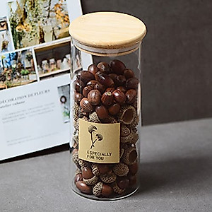 DYNWAVE 200Pcs Natural Acorns Caps Decorative for Craft Vase Fillers Home Garland Autumn Embellishments Ornaments