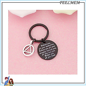 FEELMEM Sobriety Gift Keychain Addiction Recovery Gift AA Alcoholics Anonymous Warrior Recovery Gift New Beginnings Gift(black)