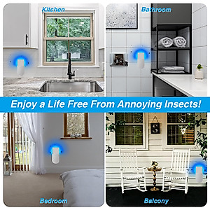 Flying Insect Trap - Indoor Fly Trap,4 PCS Highly Effective UV Blueish-Purple Light,Flying Insect Trap with Sticky Pads,for Flies, Fruit Flies, Moths, Gnats, and Other Flying Insects (4 pcs)